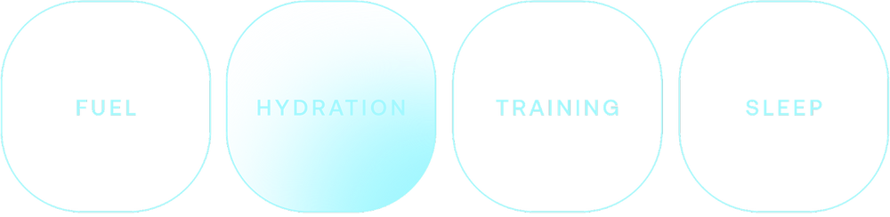 FLOWBIO Sweat Sensor | Real-Time Sweat & Hydration Tracking